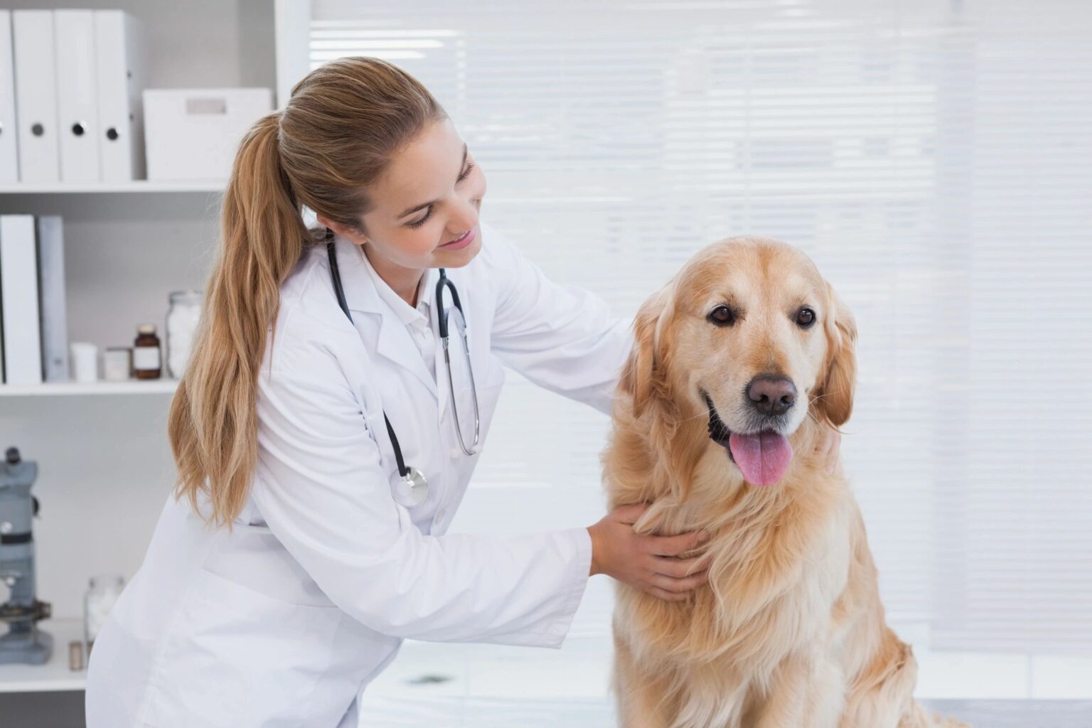 Veterinary Recruiting Services | DVM Consulting & Recruiting